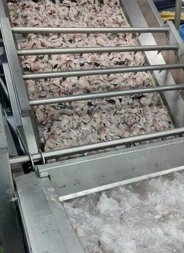 Leading Food Machinery Manufacturer – We are a manufacturer of fish ...