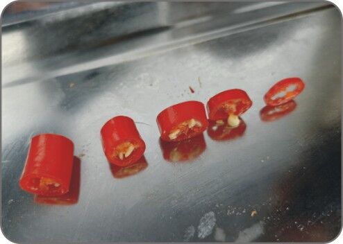 ST-30 Automatic Chili Cutting Machine – Leading Food Machinery Manufacturer