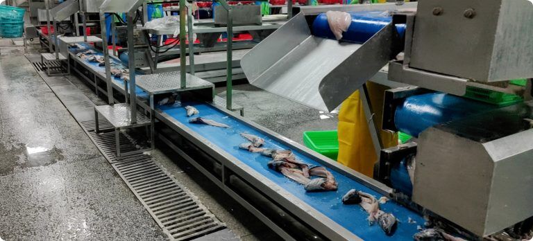 Leading Food Machinery Manufacturer – We are a manufacturer of fish processing machine and ...