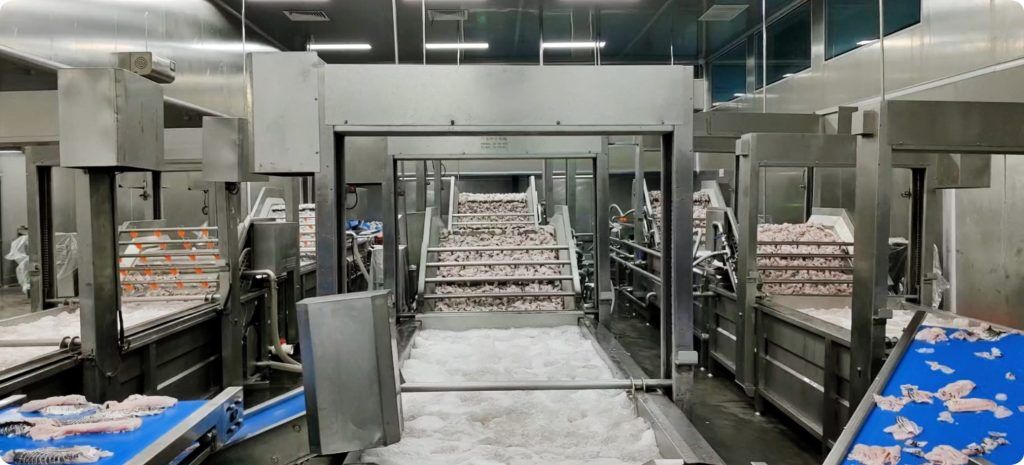 Leading Food Machinery Manufacturer – We are a manufacturer of fish ...